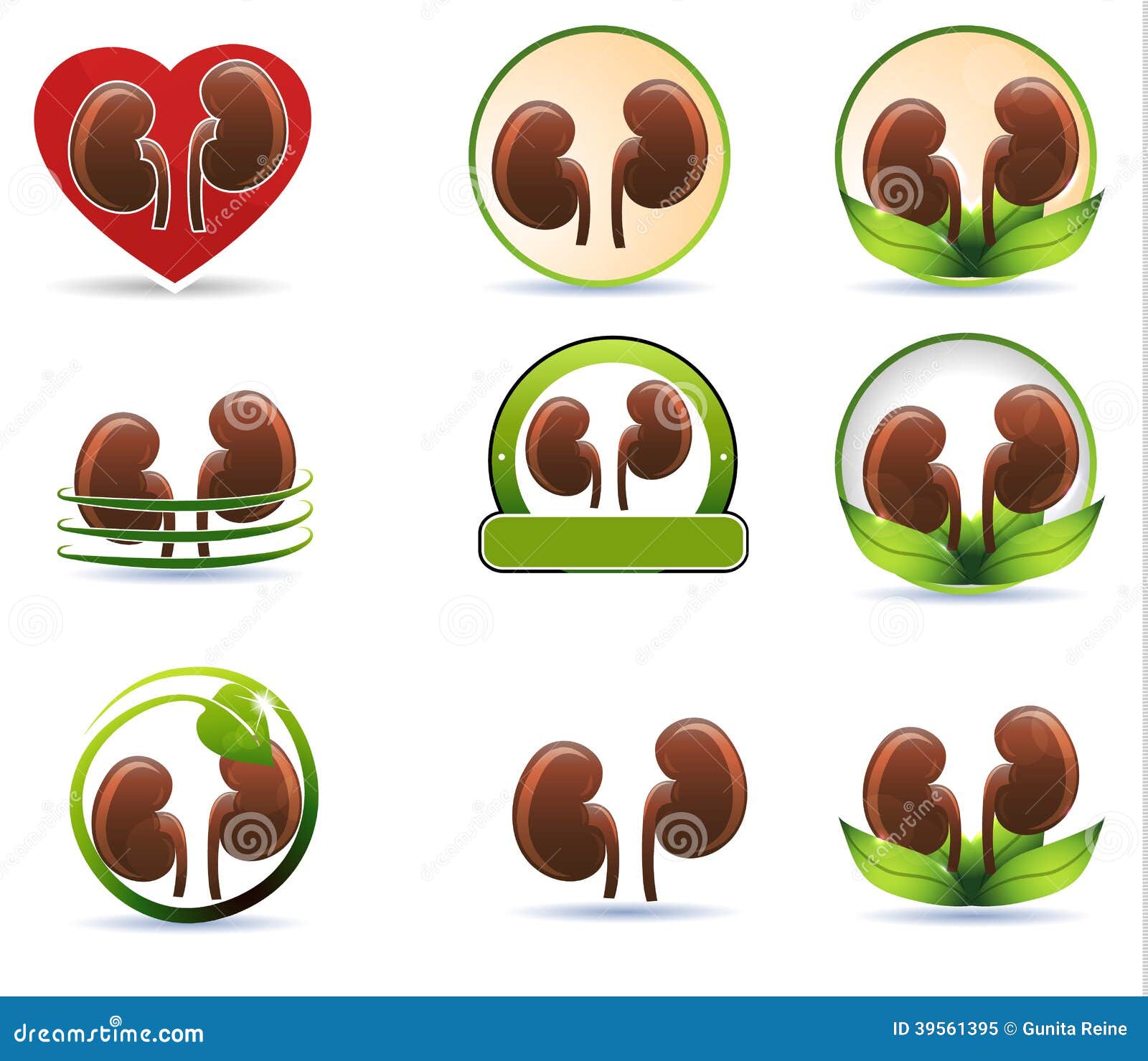 Huge set of kidneys icons stock vector. Illustration of natural - 39561395