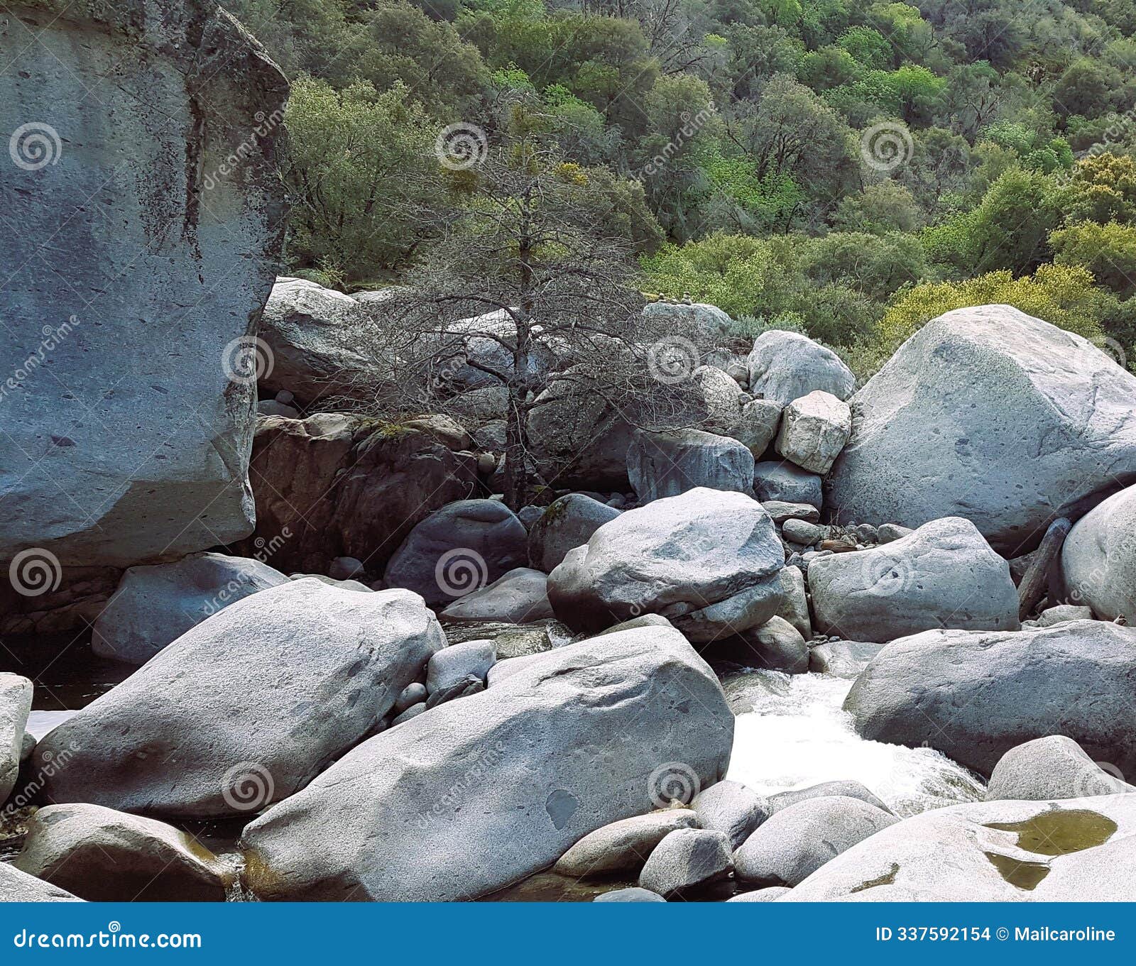 Huge Smooth Boulder Along Clear Stream with Forest Background Nature ...