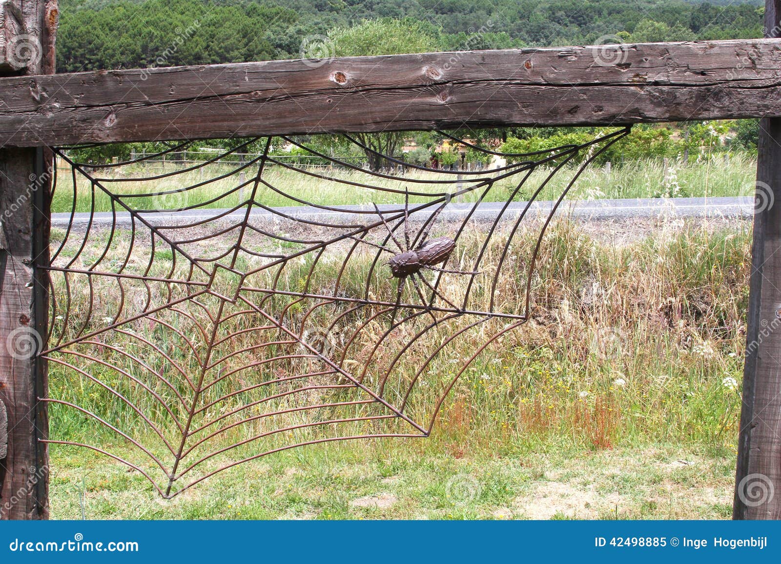 Huge spider in a spiderweb stock image. Image of animals - 42498885