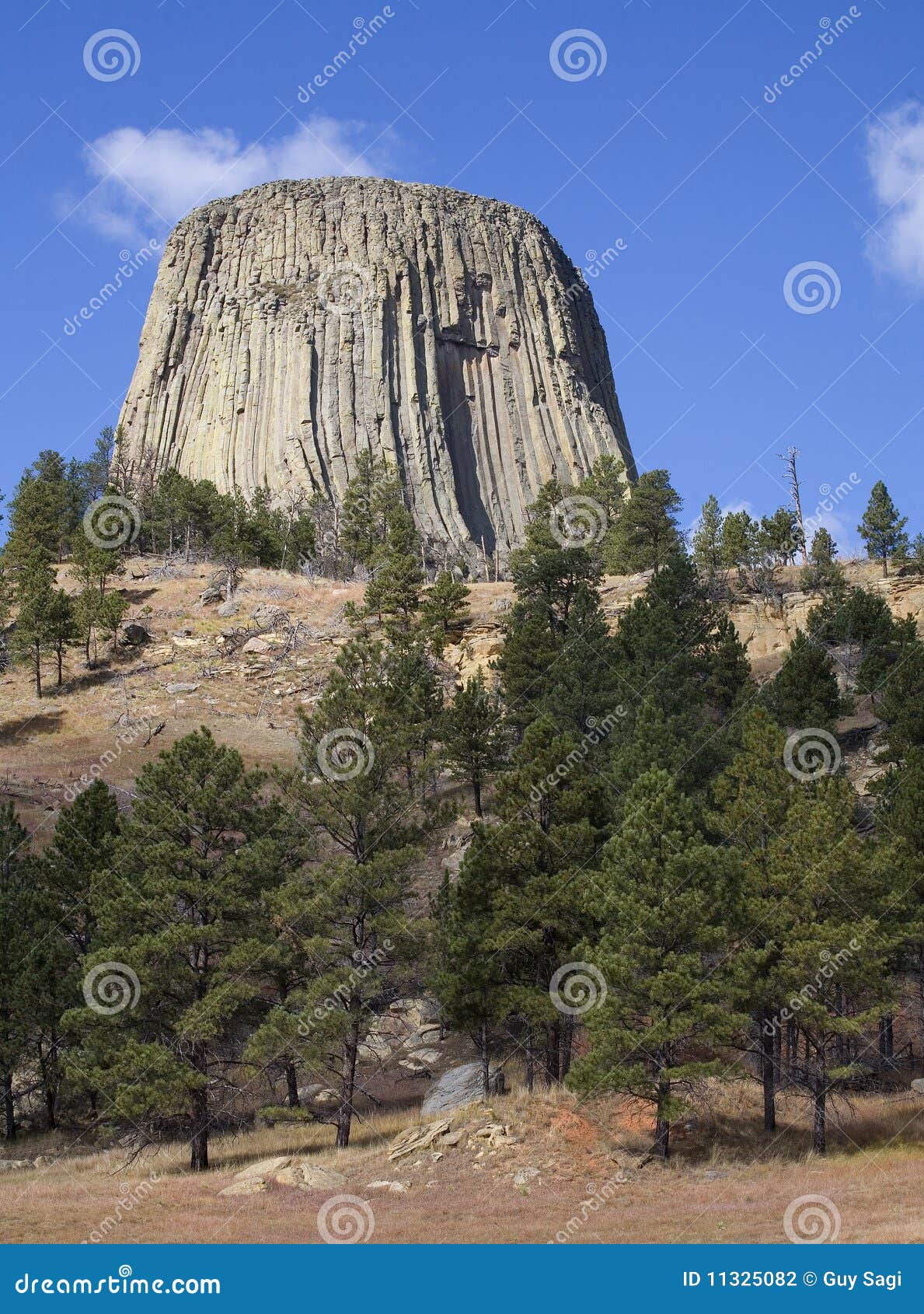 Huge spire stock photo. Image of mountain, park, ponderosa - 11325082