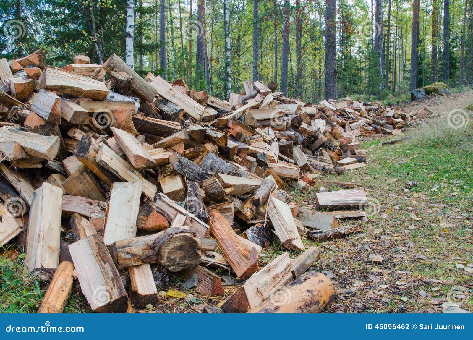 Huge Stack Firewood Stock Photos - Download 102 Images