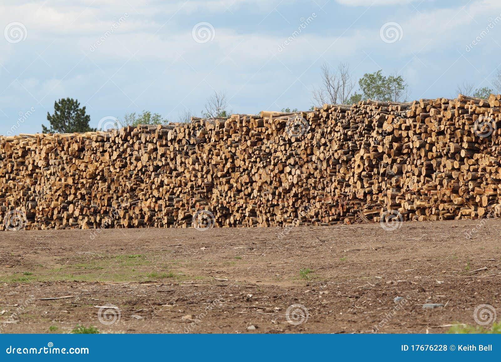 Huge Stack of Logs at the Sawmill Stock Photo - Image of sawed ...