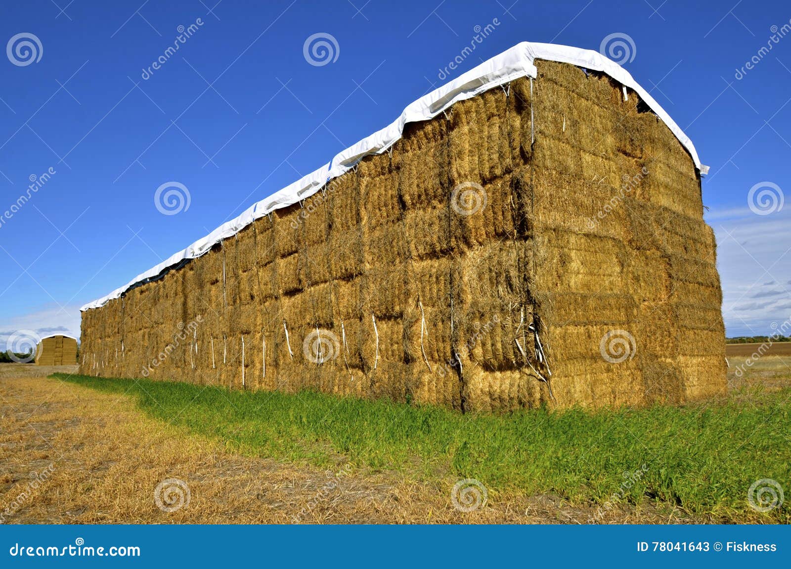 Huge stack of straw bales stock image. Image of harvest - 78041643