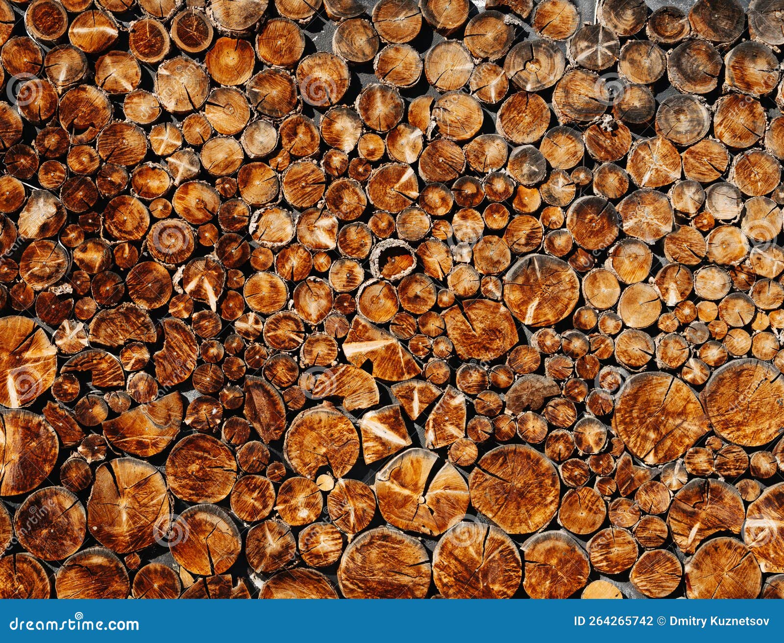 Huge Stack of Wooden Logs of Different Size. Circular Ends To the ...