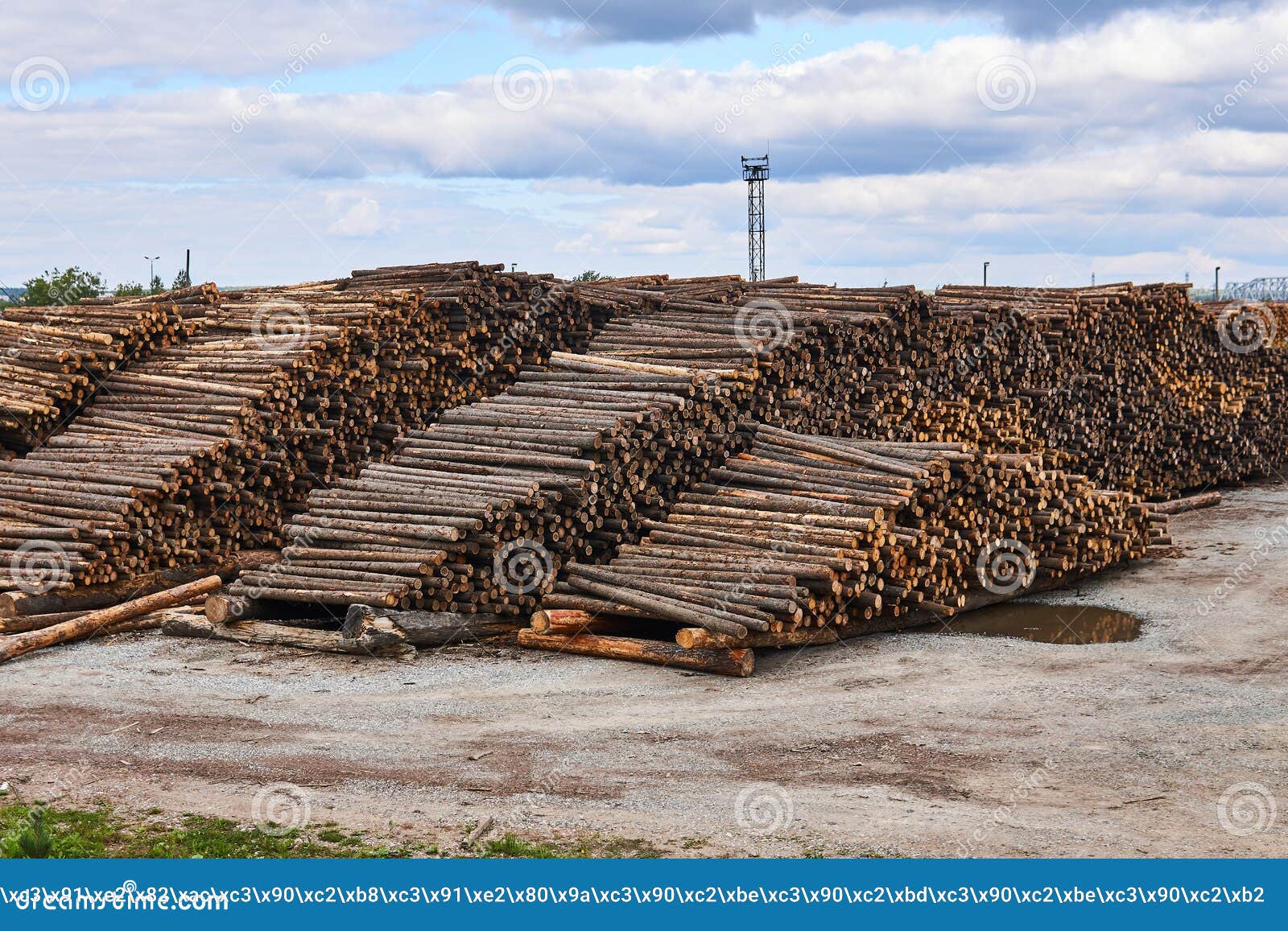 Huge Stacks of Logs in the Timber Yard Stock Image - Image of making ...