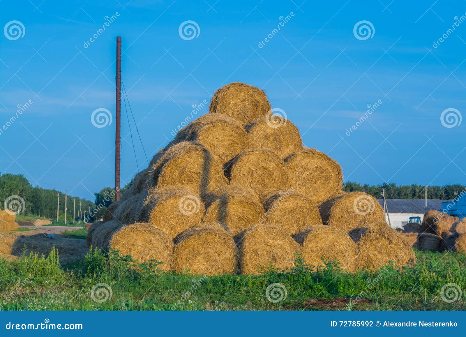 Huge stacks of straw stock photo. Image of dried, heap - 72785992