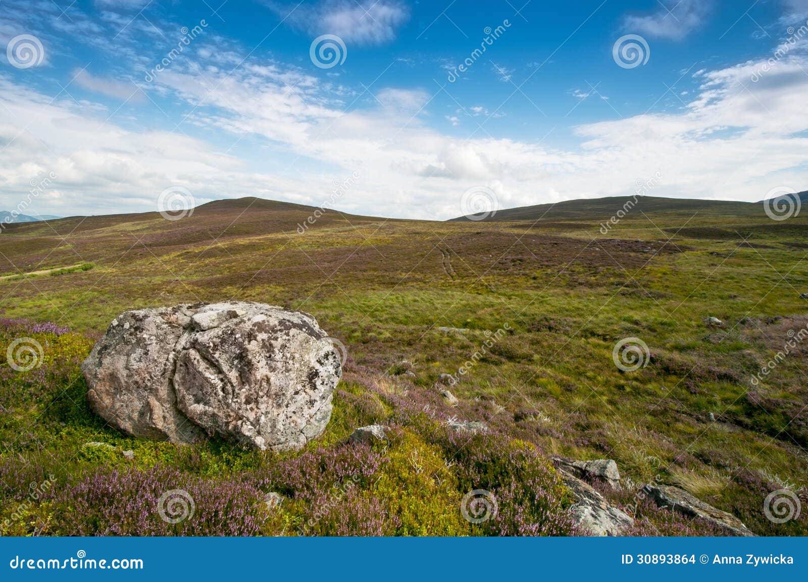 Huge stone stock photo. Image of mooralnd, field, green - 30893864
