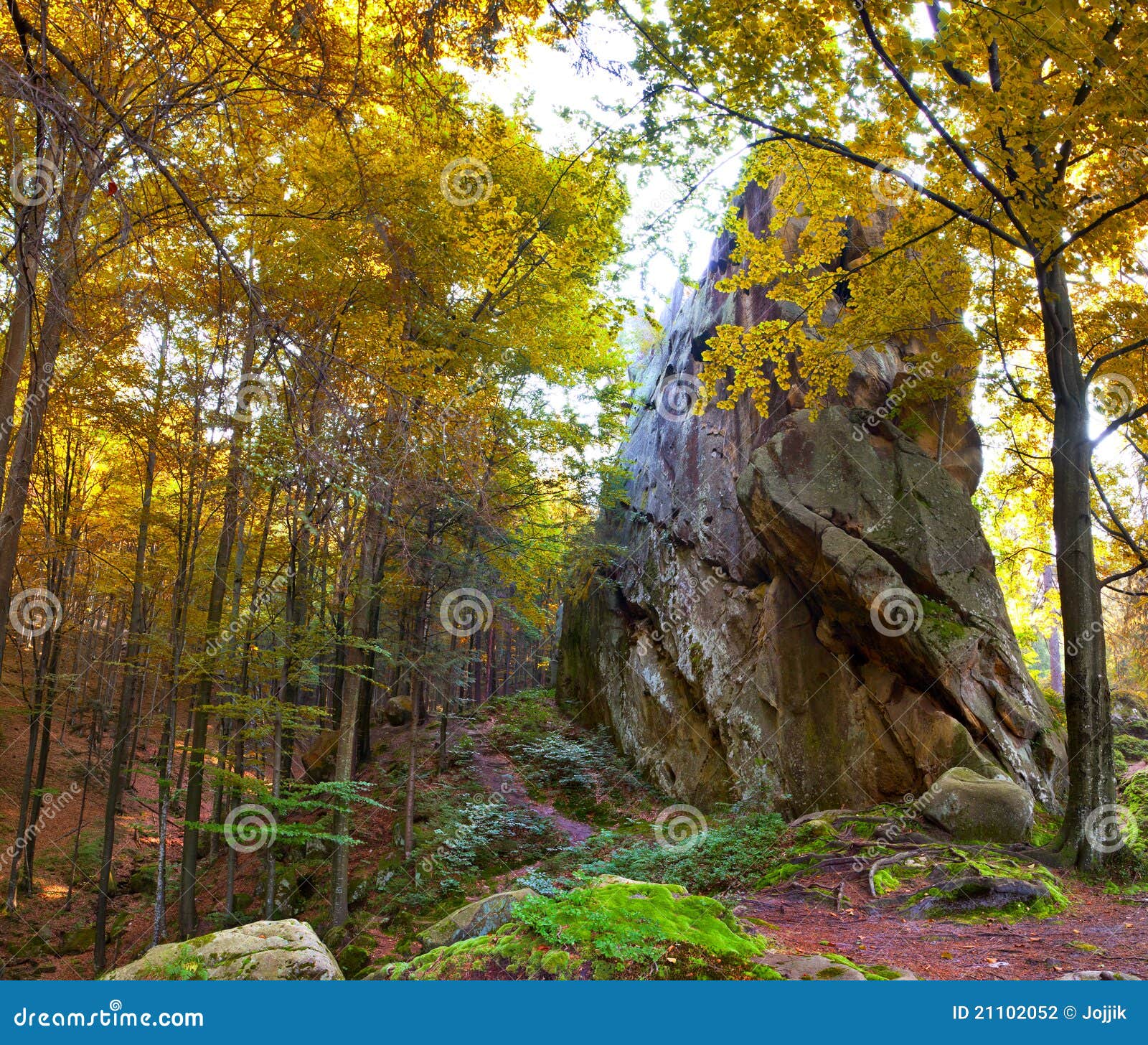 Huge stone in the forest stock photo. Image of hill, landscape - 21102052