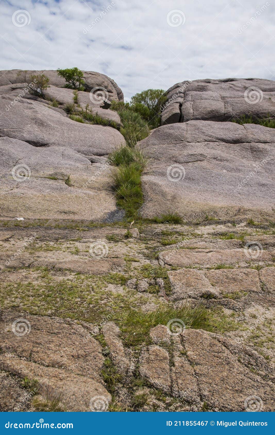 Large Stone Eroded by Water and Vegetation Stock Image - Image of tree ...