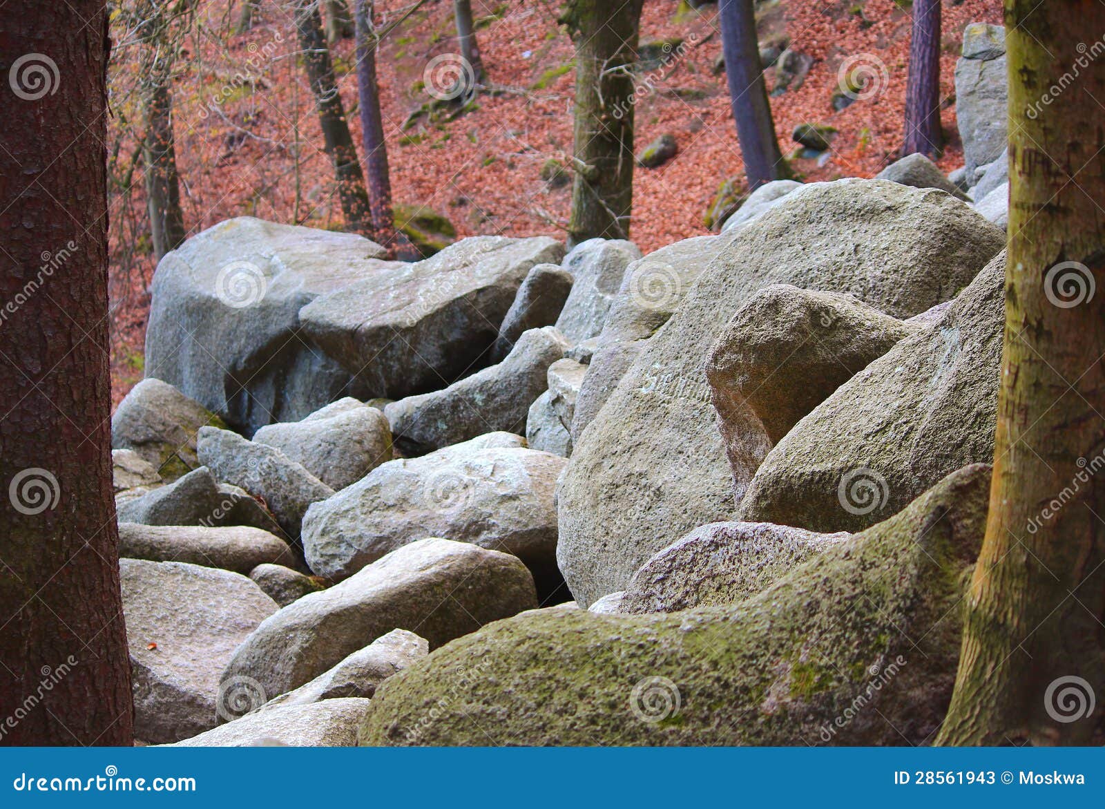 Huge stones stock image. Image of nature, color, foliage - 28561943