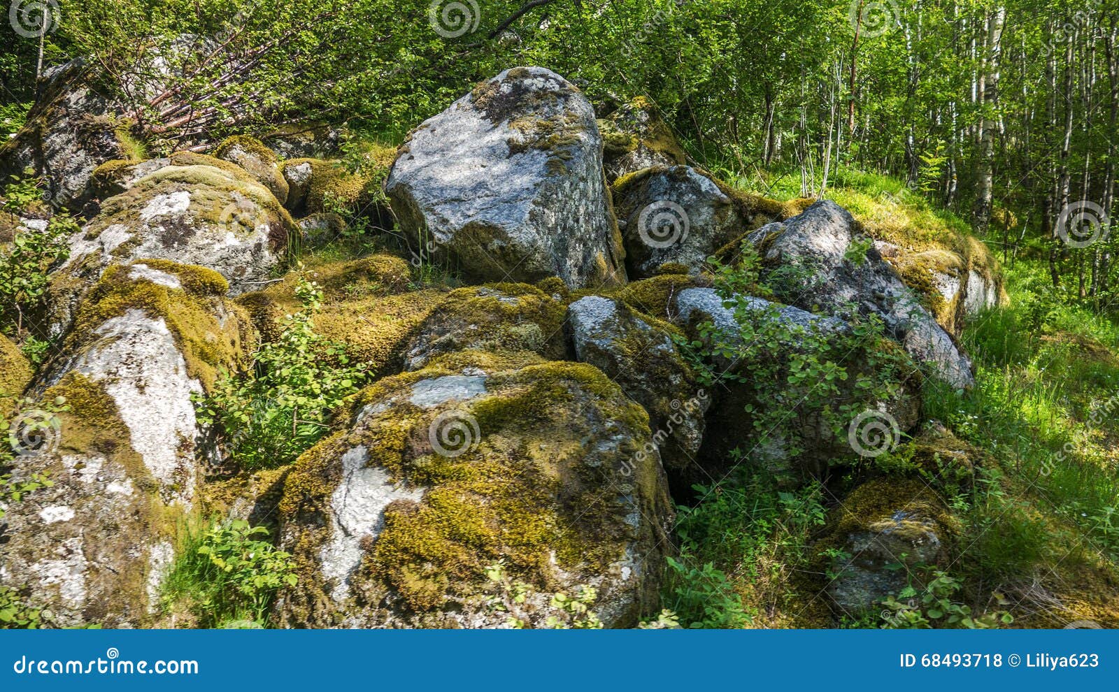 Huge Stones Covered with Moss Stock Photo - Image of nature, outdoor ...