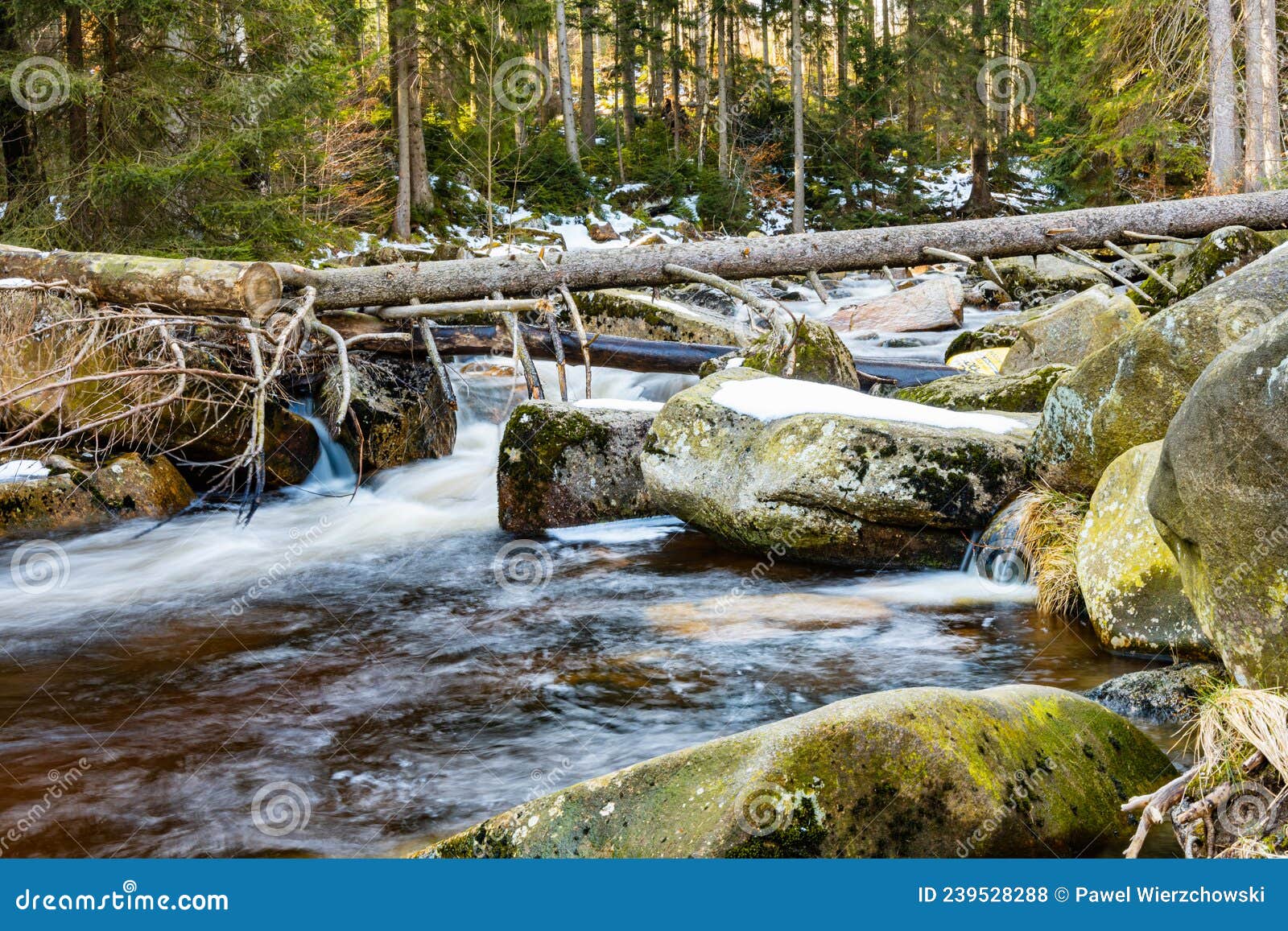 Huge Stones and Fallen Trees Lying Over Small Stream Stock Photo ...