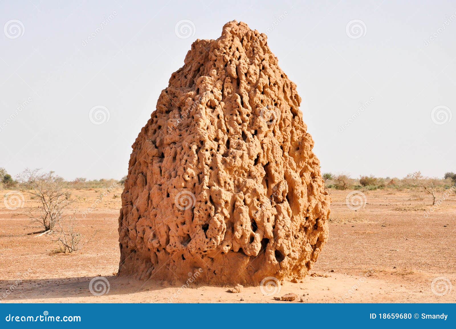 Huge Ant Termite Hill Mound Australia Stock Photo | CartoonDealer.com ...