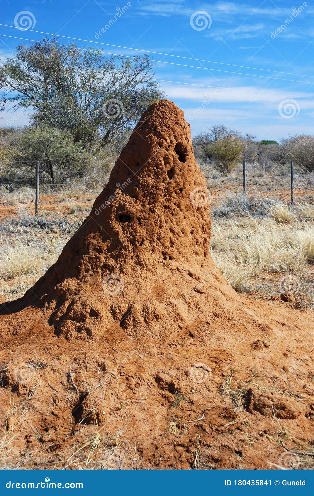 Termite Mound in the Dry Landscape in Namibia Stock Image - Image of ...