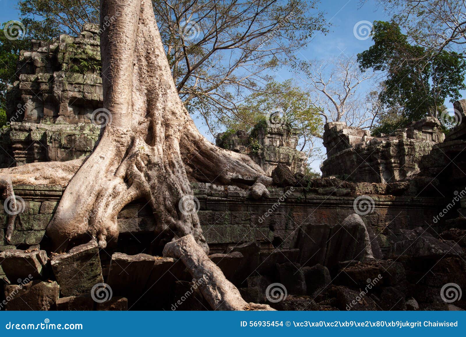 Royalty Free Images, Cartoons, Illustrations And Photos Designed By ...