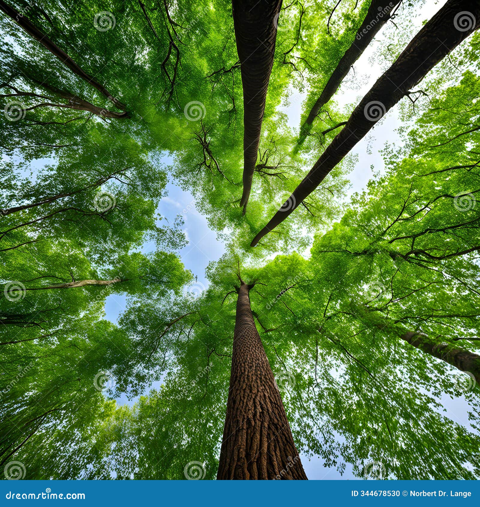 Huge Treetops with a Treetop Path, Ai-generatet Stock Illustration ...