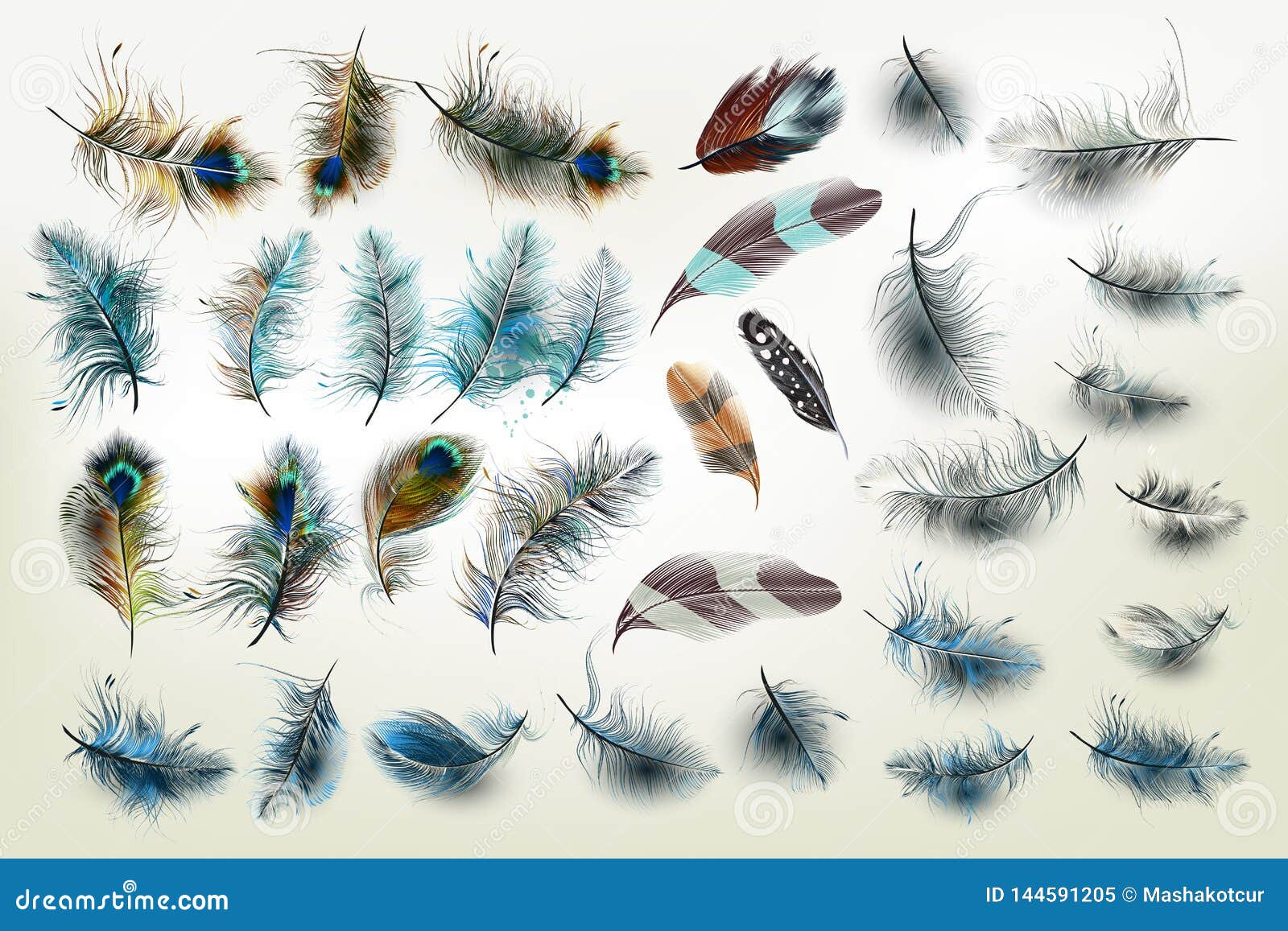 Huge Vector Collection of Realistic Fashion Feathers for Design Stock ...