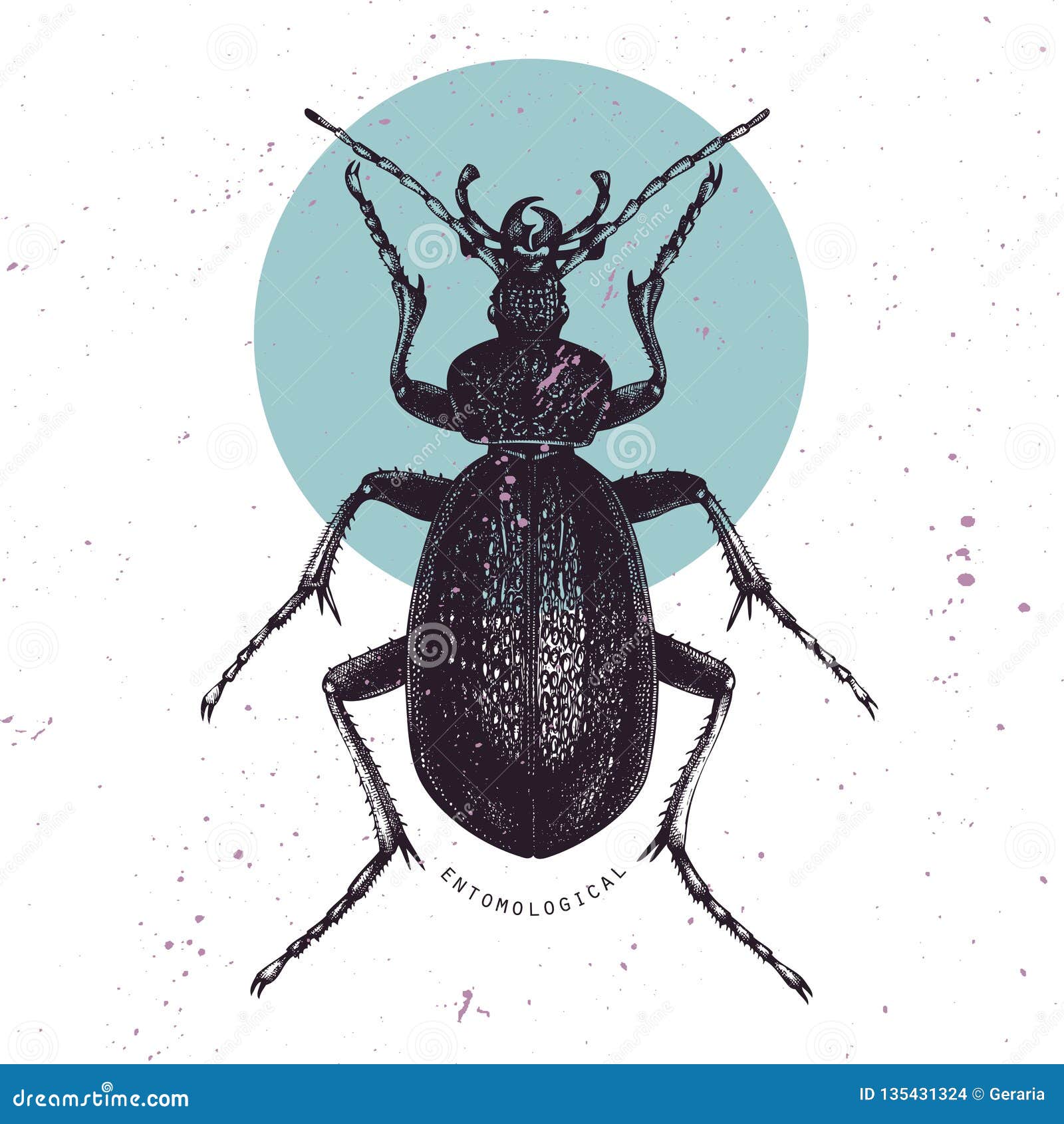 Vector Set Of Insects Spiders Beetles Arthropods Stencil Illustration ...