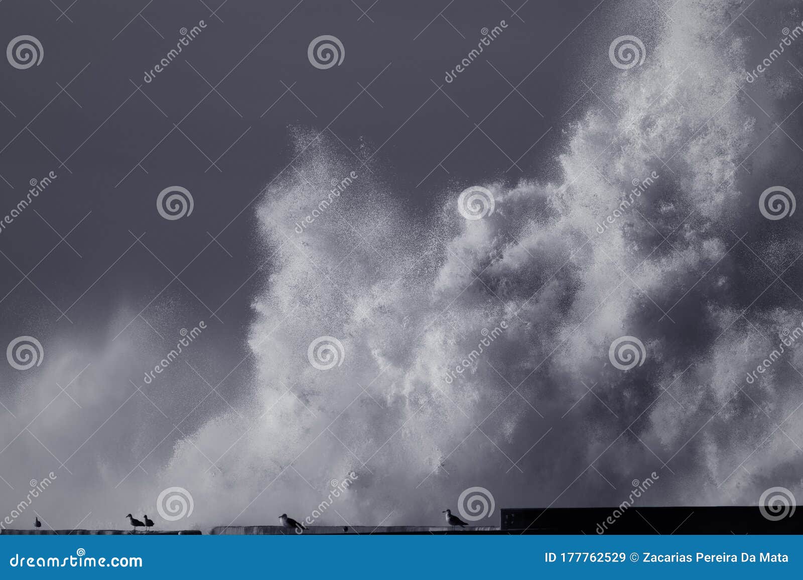 Huge wave splash in blue stock image. Image of outdoor - 177762529