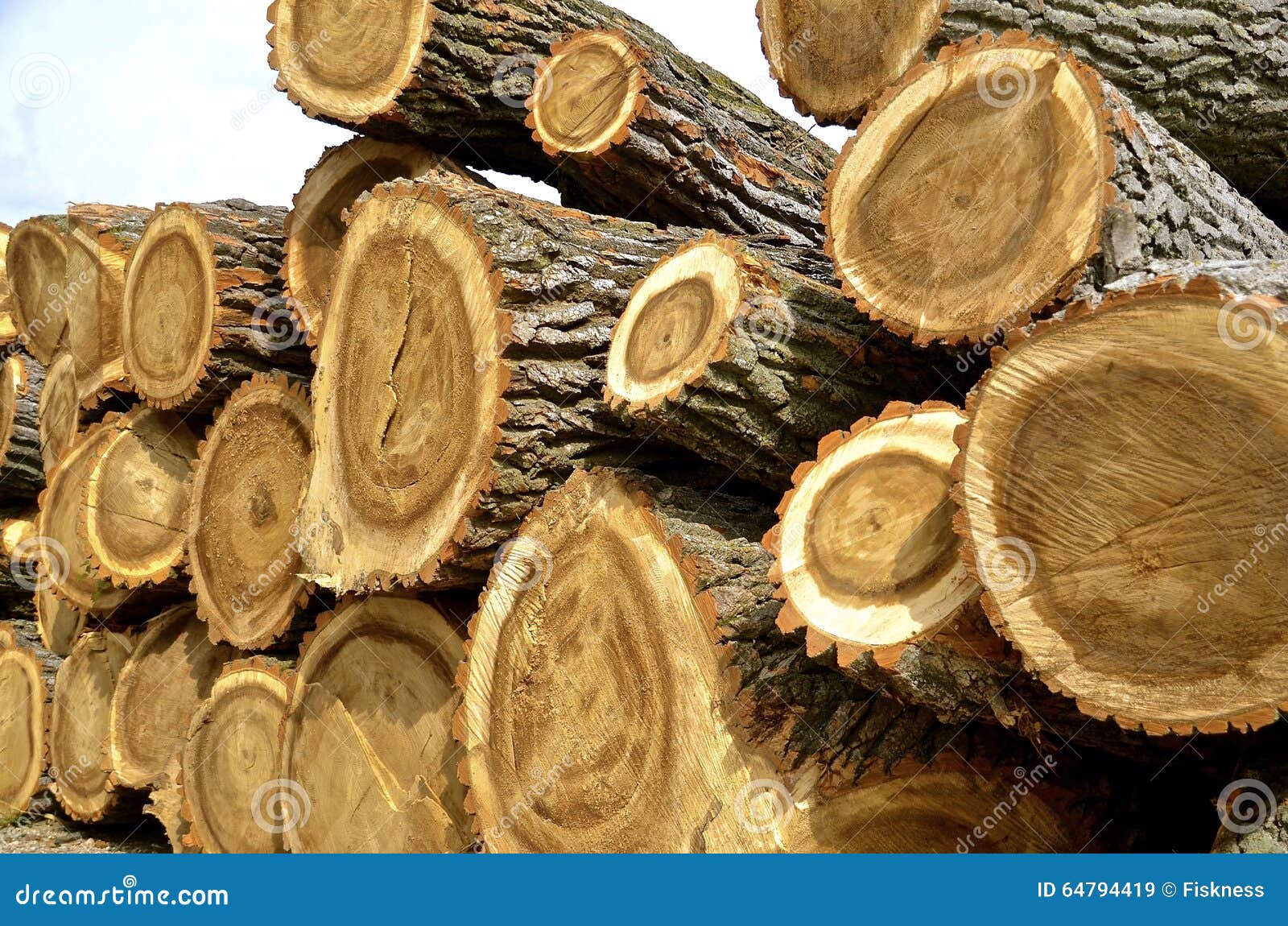 Huge wood logs in a stack stock image. Image of stacked - 64794419