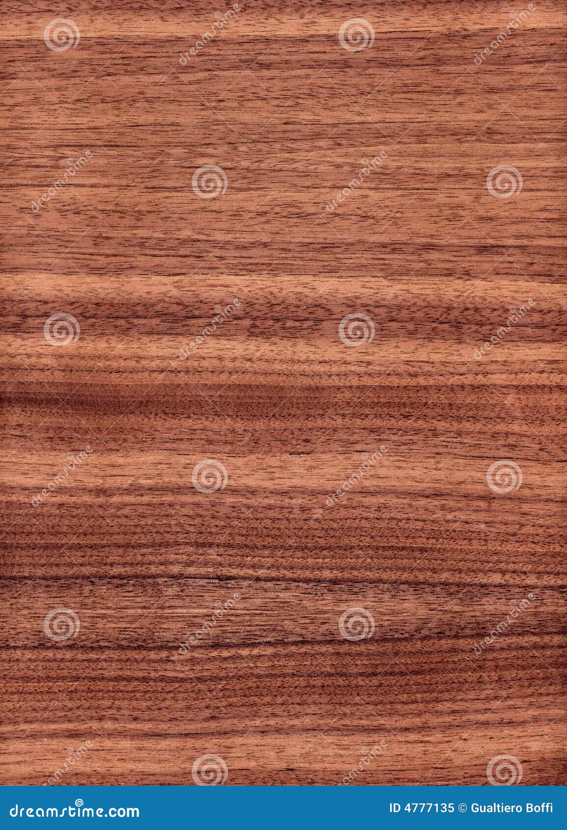 Huge wood texture stock image. Image of hardwood, timber - 4777135