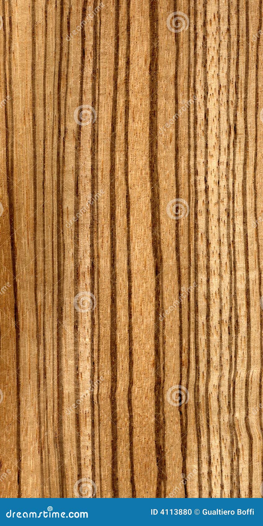Huge zebra wood texture stock photo. Image of cherry, patterned - 4113880
