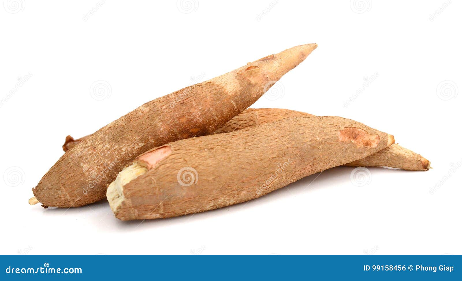 Huggen av kassava arkivfoto. Bild av medf8ort, rotar - 99158456