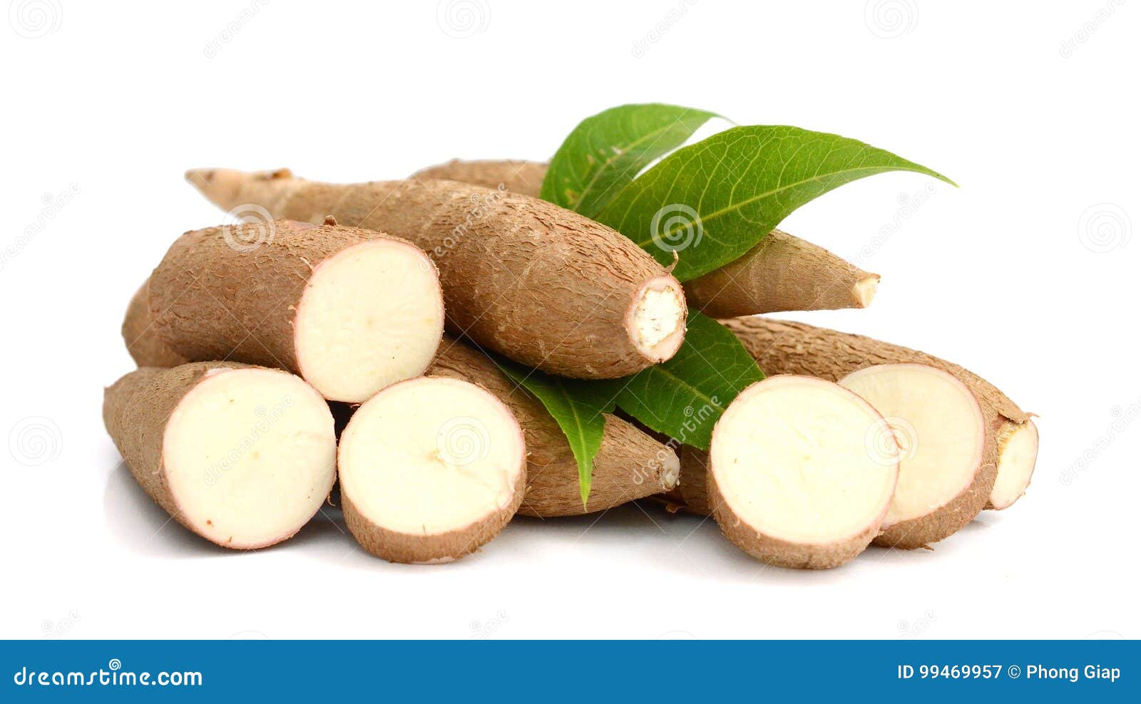 Huggen av och hel kassava fotografering för bildbyråer. Bild av inälva ...