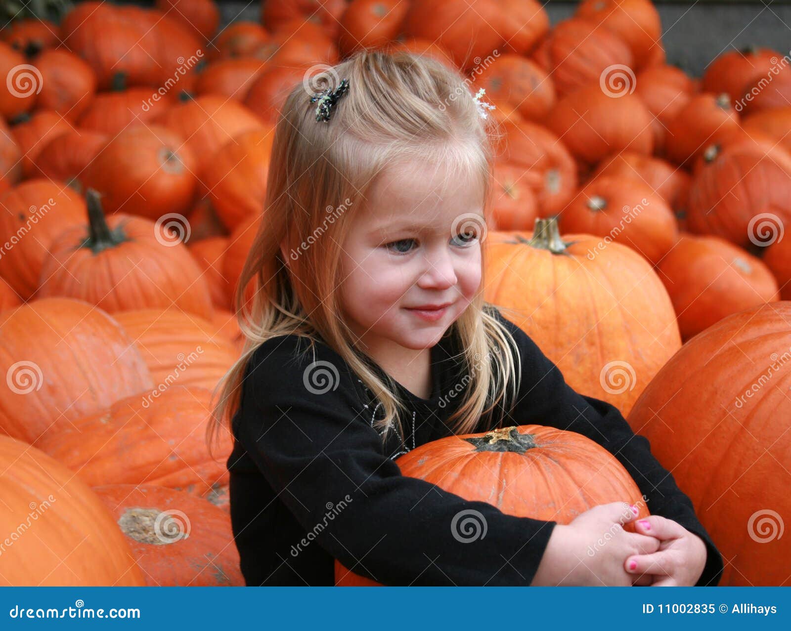 Hugging the Pumpkin stock image. Image of autumn, young - 11002835