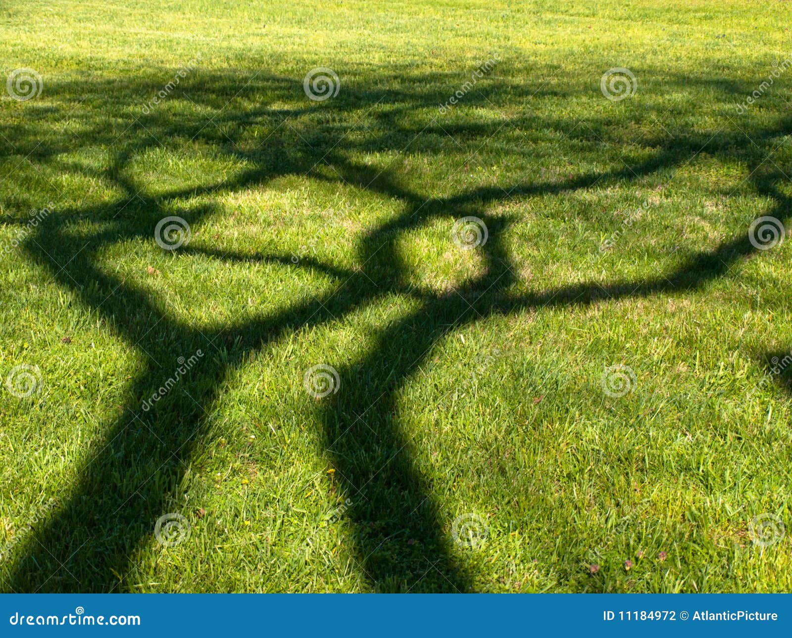 Hugging shadow stock photo. Image of green, field, love - 11184972