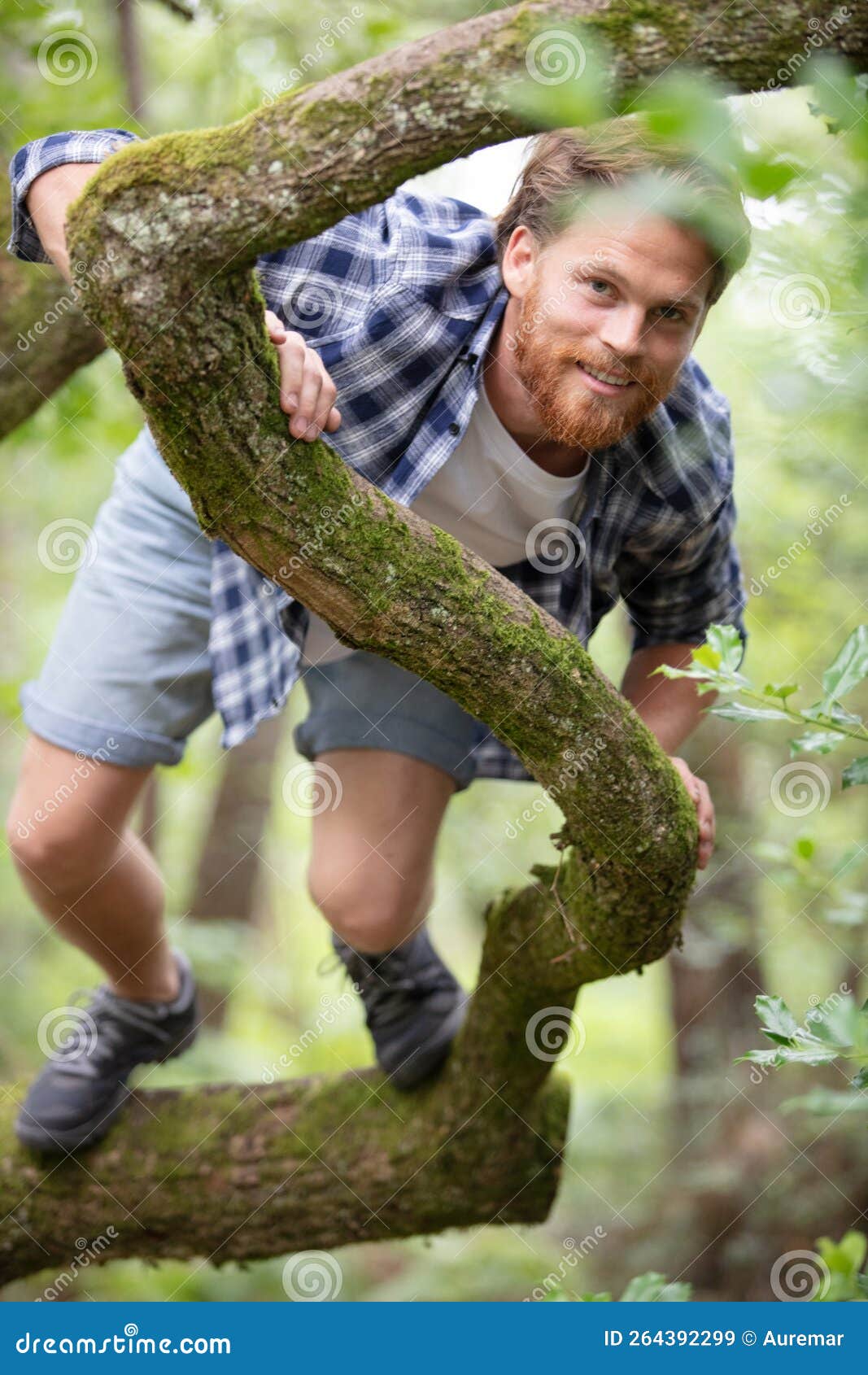 Hugging Trees To Support Nature Stock Image - Image of environmentalist ...