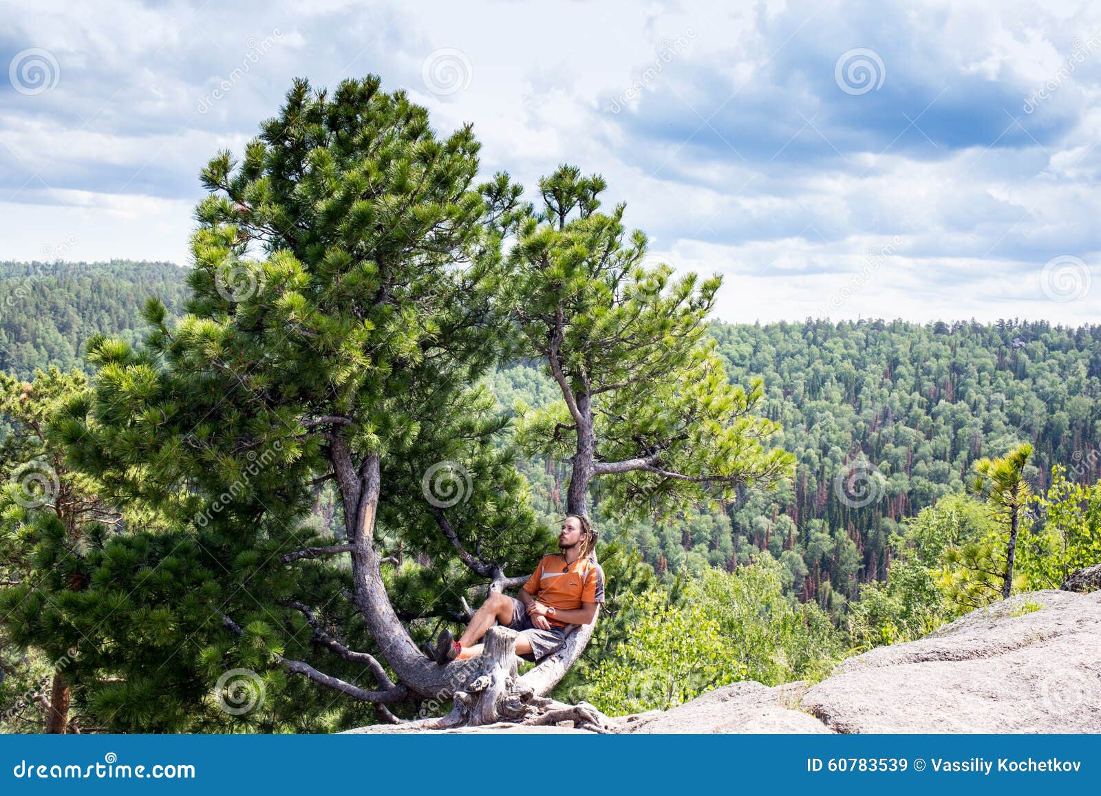 Hugging Trees To Support Nature Stock Image - Image of garden, hand ...