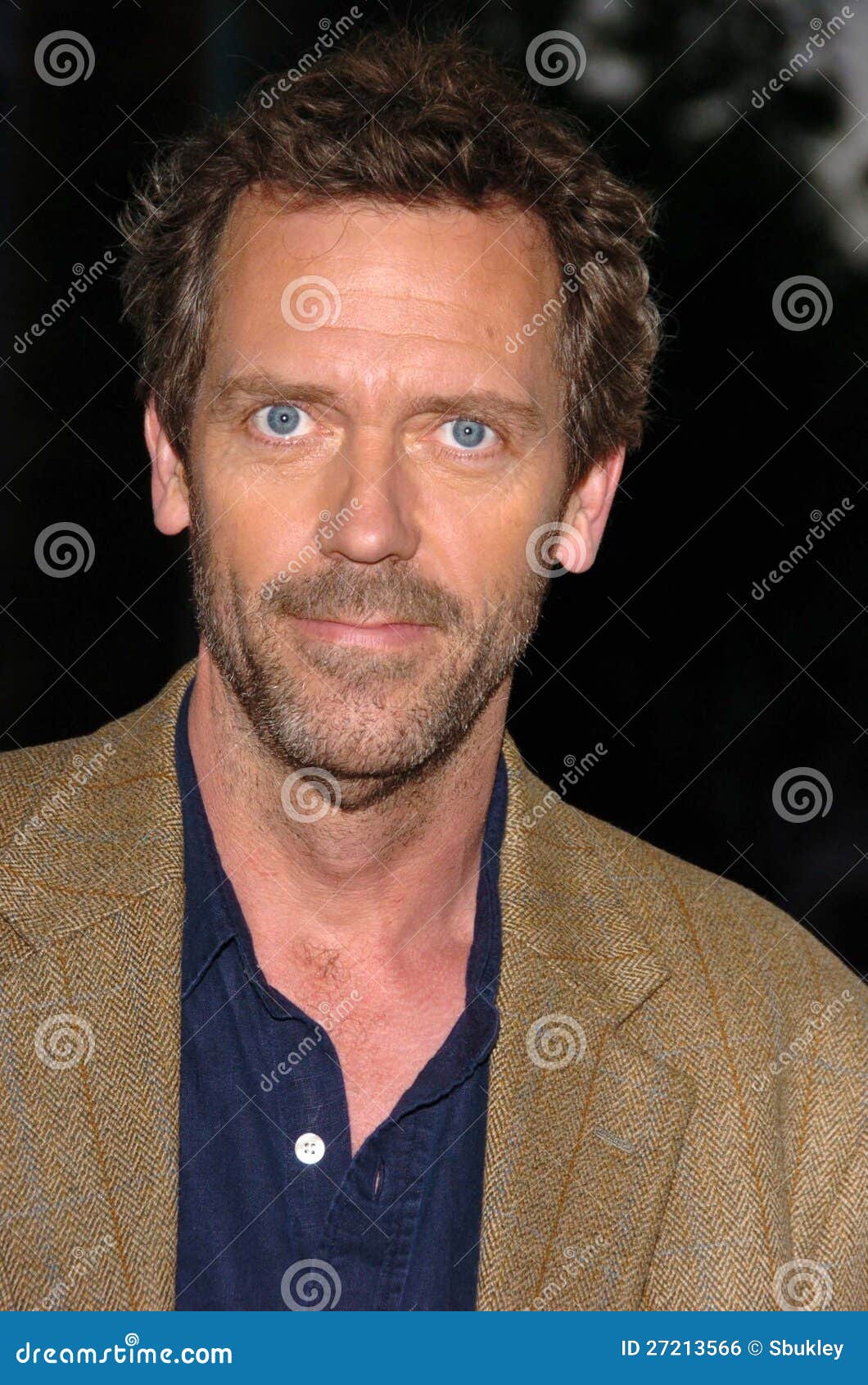 Hugh Laurie Now