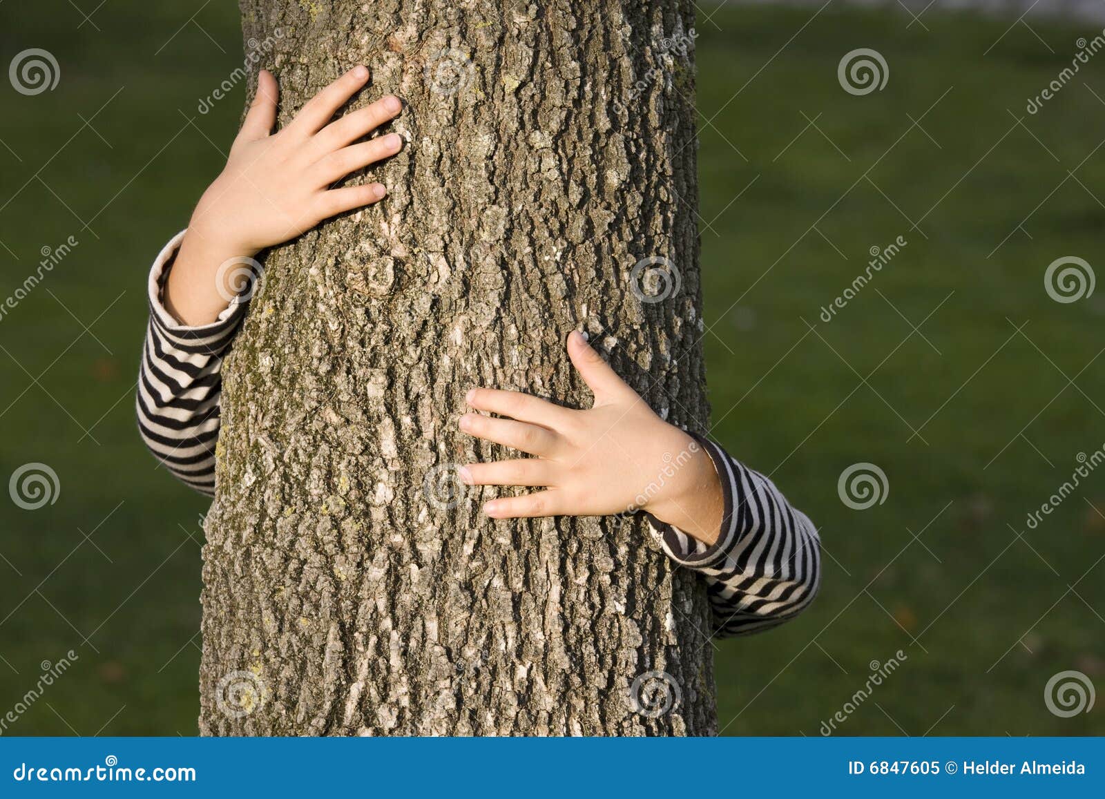 Huging a tree stock image. Image of background, childhood - 6847605