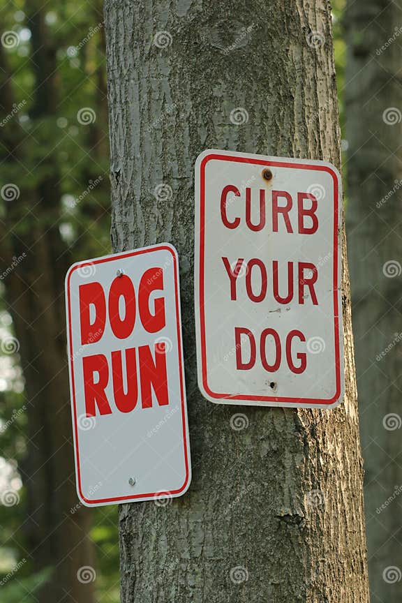 Huh? stock photo. Image of direction, tree, humorous, curb - 1902210