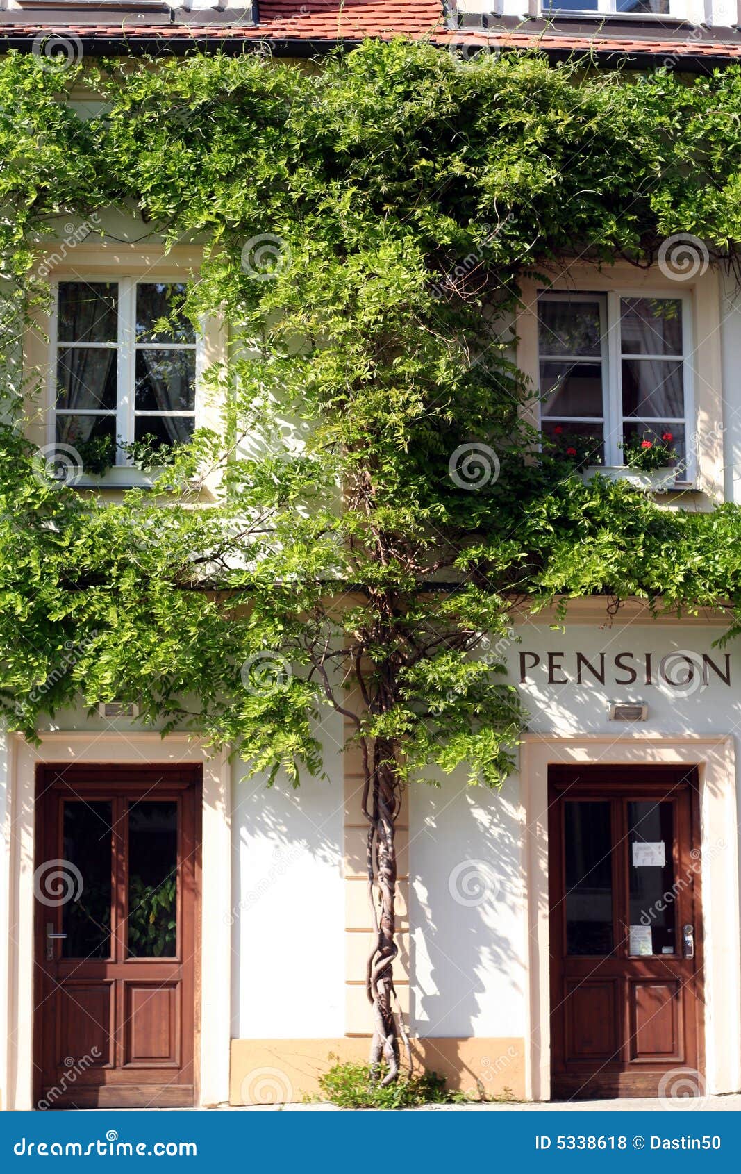 Huis Dat Met Klimop Wordt Behandeld Stock Foto - Image of wijnstokken ...