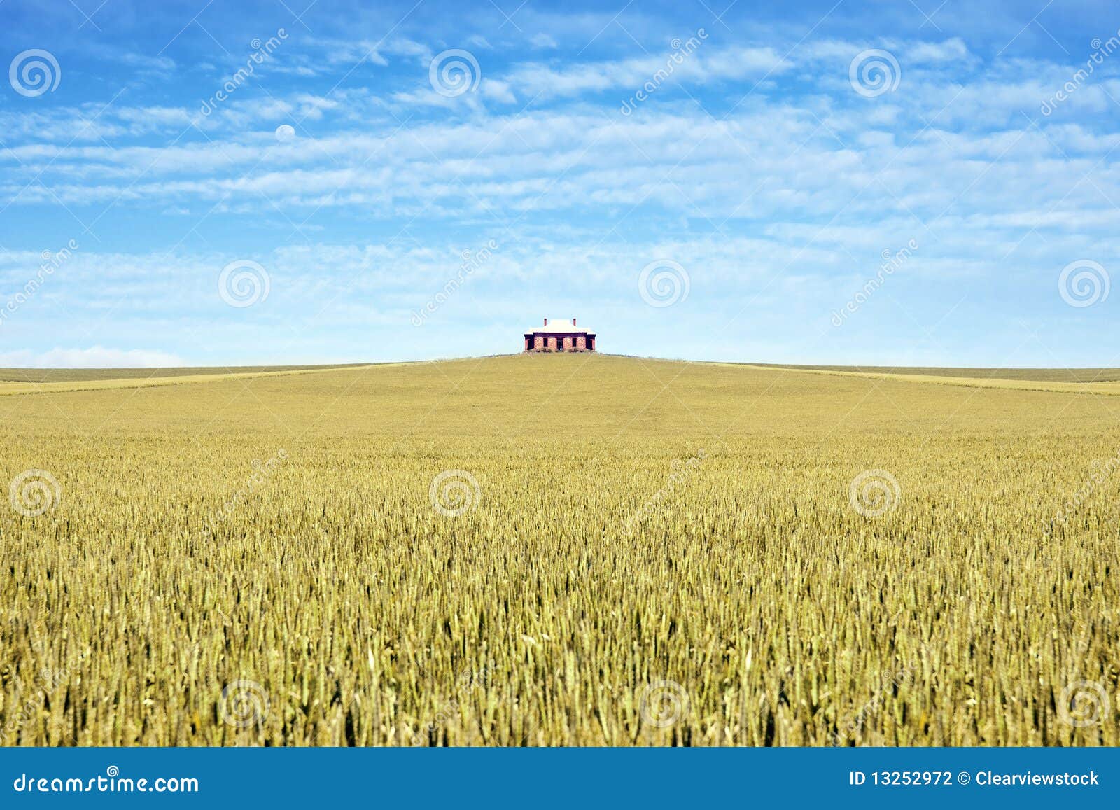 Huis in Het Midden Van Een Gebied Van Tarwe Stock Foto - Image of land ...