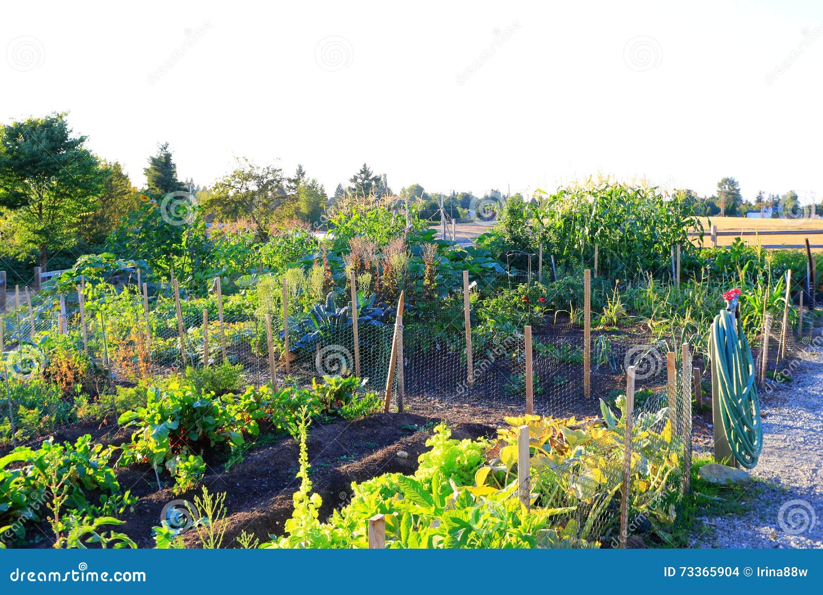 Huis Moestuin Bij De Achtertuin Stock Foto - Image of landbouw ...