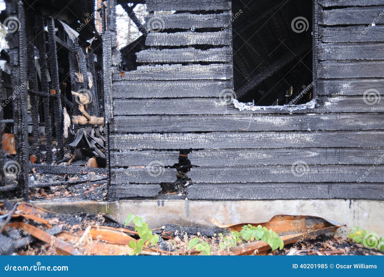 Huisbrand. stock afbeelding. Image of spelen, gelijken - 40201985