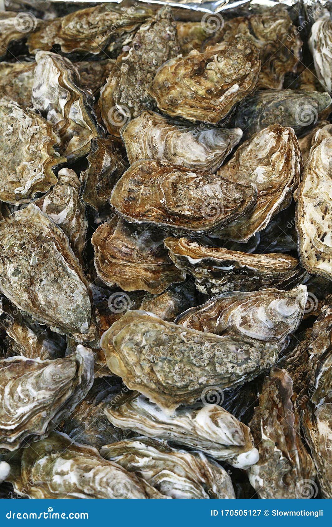 HUITRE stock image. Image of ingredient, food, oysters - 170505127