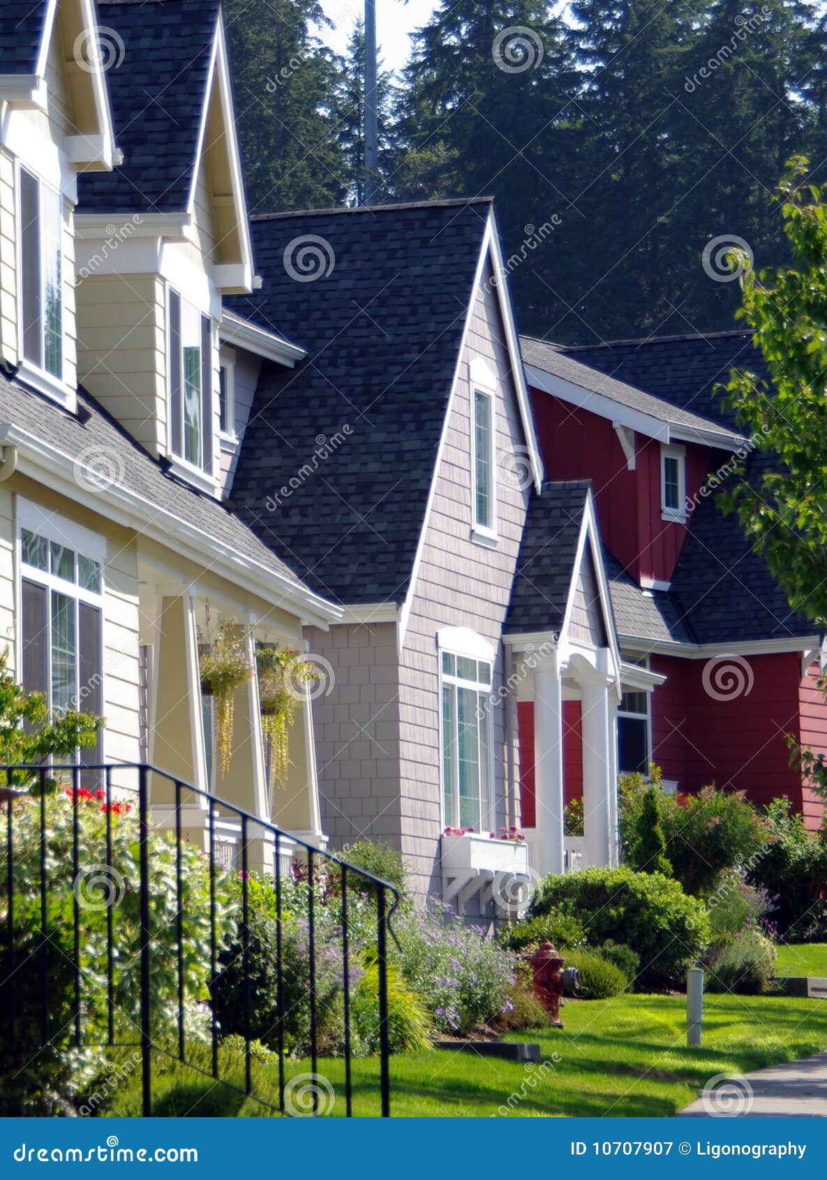 Huizen in de stad stock afbeelding. Image of voor, niemand - 10707907