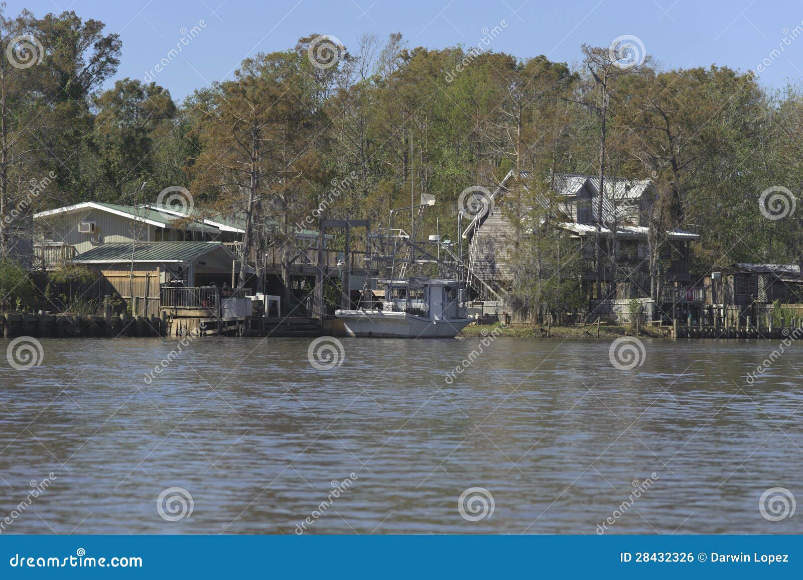 Huizen in het moeras stock foto. Image of boom, groen - 28432326