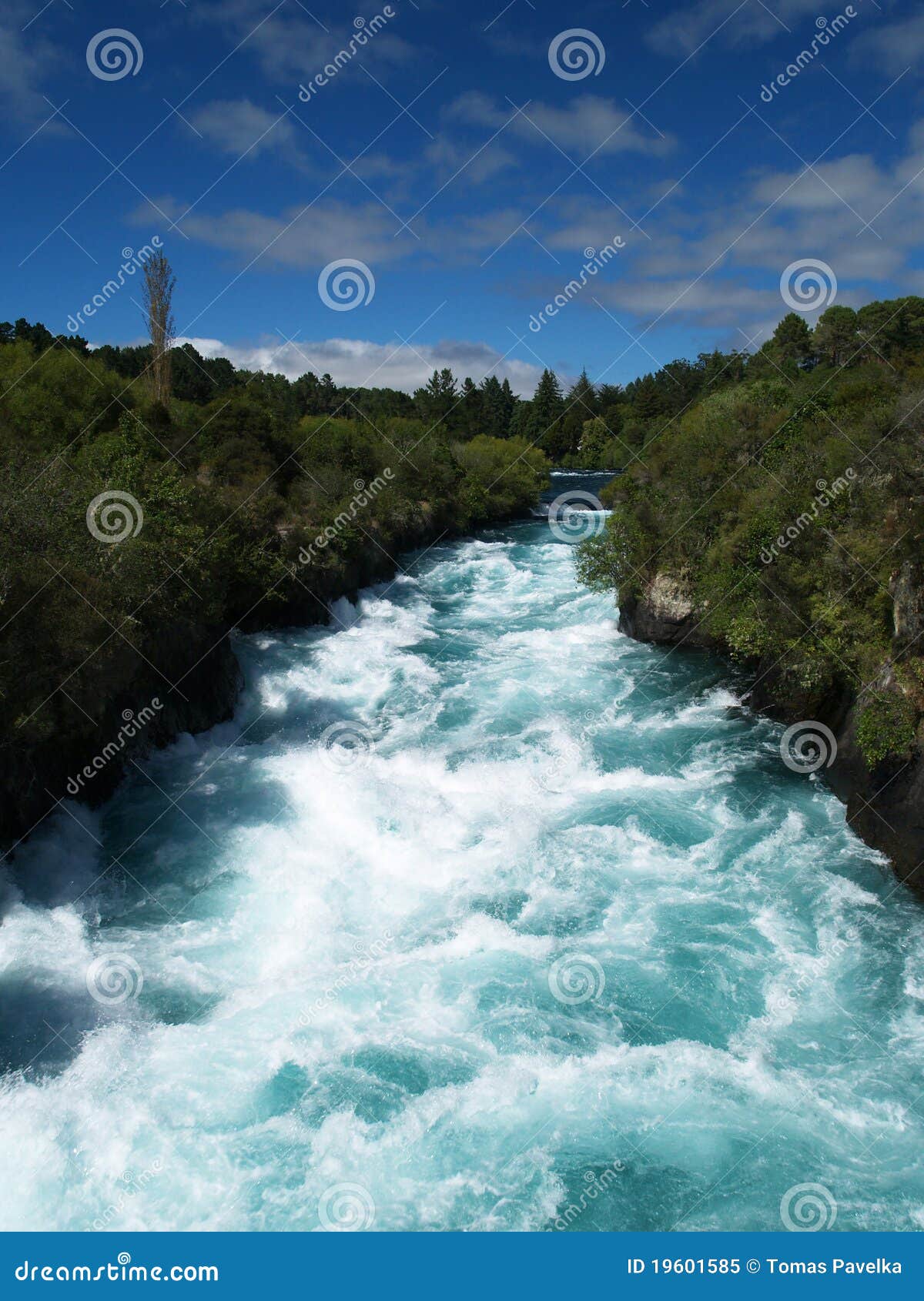 Huka falls stock image. Image of taupo, forest, flow - 19601585