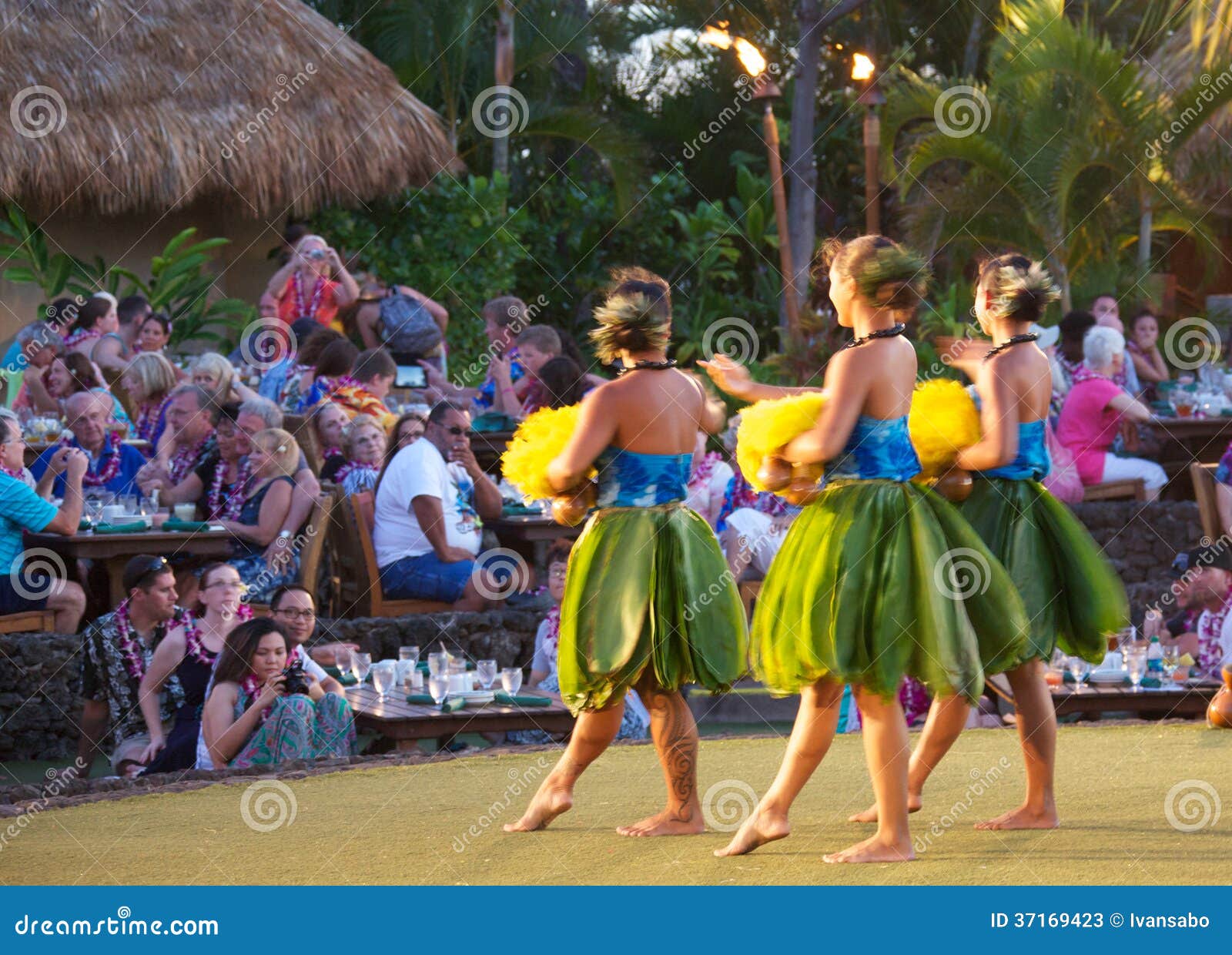 Hula dancers editorial stock photo. Image of kauai, flower - 37169423