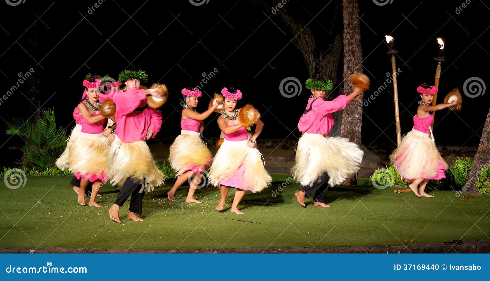 Hula Dancers Preform As Kapena Plays On Stage At Reunion Concert ...