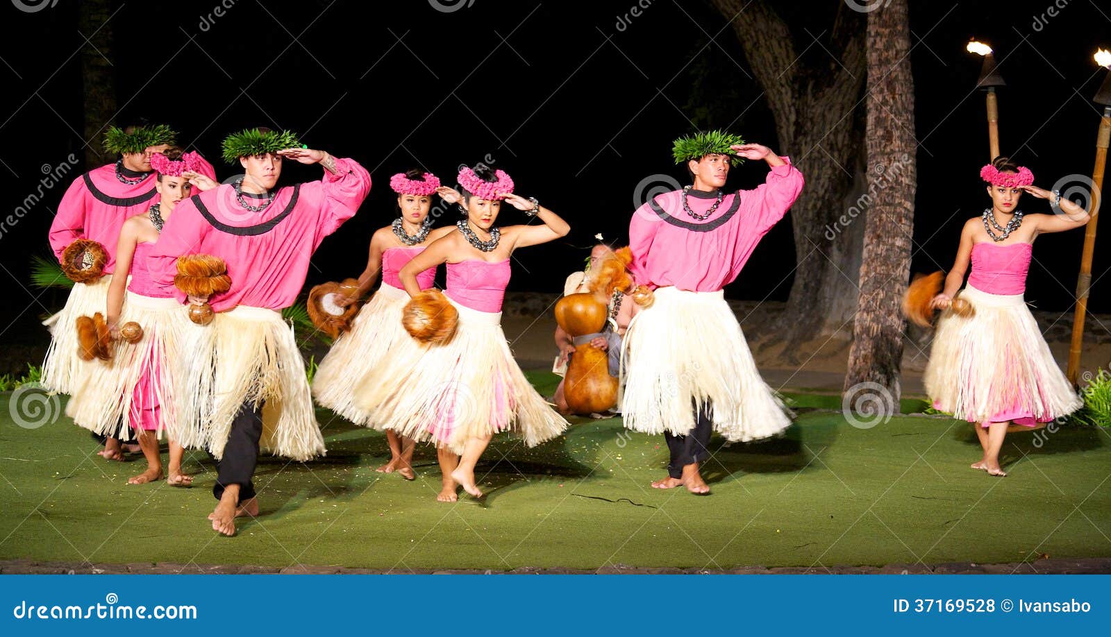 Hula dancers editorial stock photo. Image of tropical - 37169528