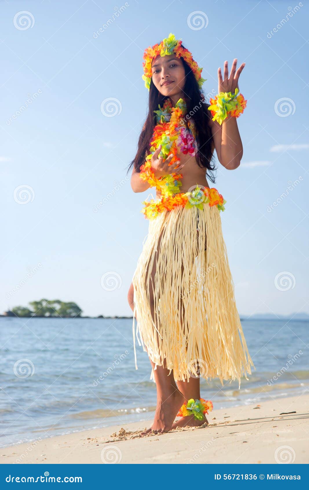 Hula Hawaii dancer stock photo. Image of hula, beauty - 56721836