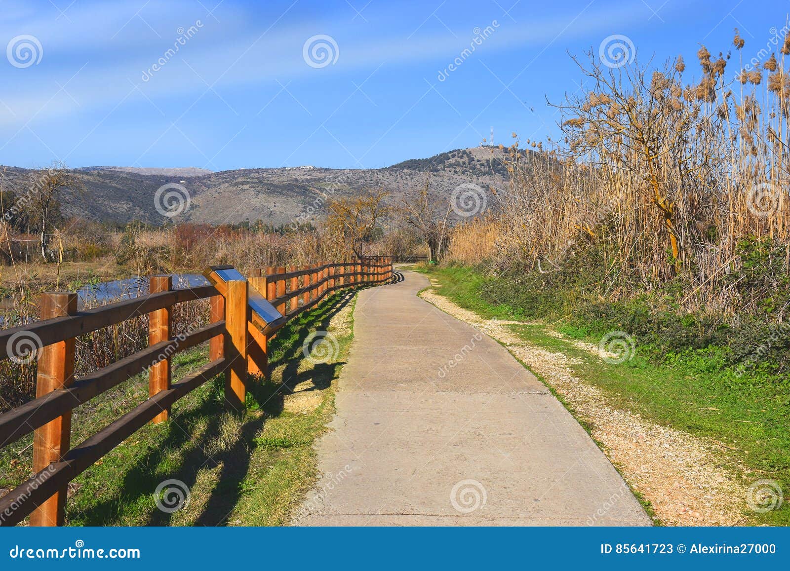 Hula Lake Nature Reserve, Hula Valley, Israel Stock Image - Image of ...