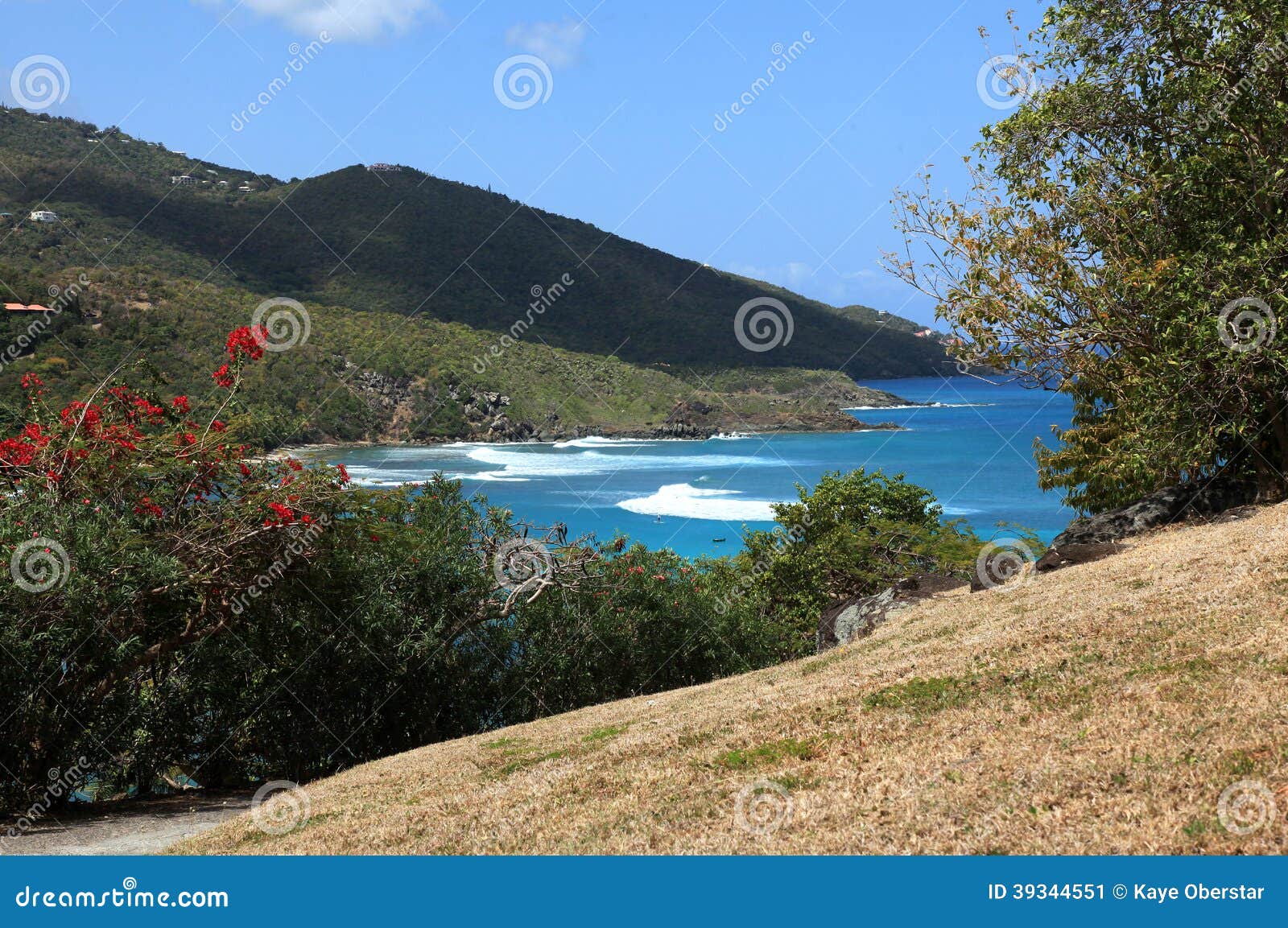 Hull Bay in St Thomas stock image. Image of sand, island - 39344551