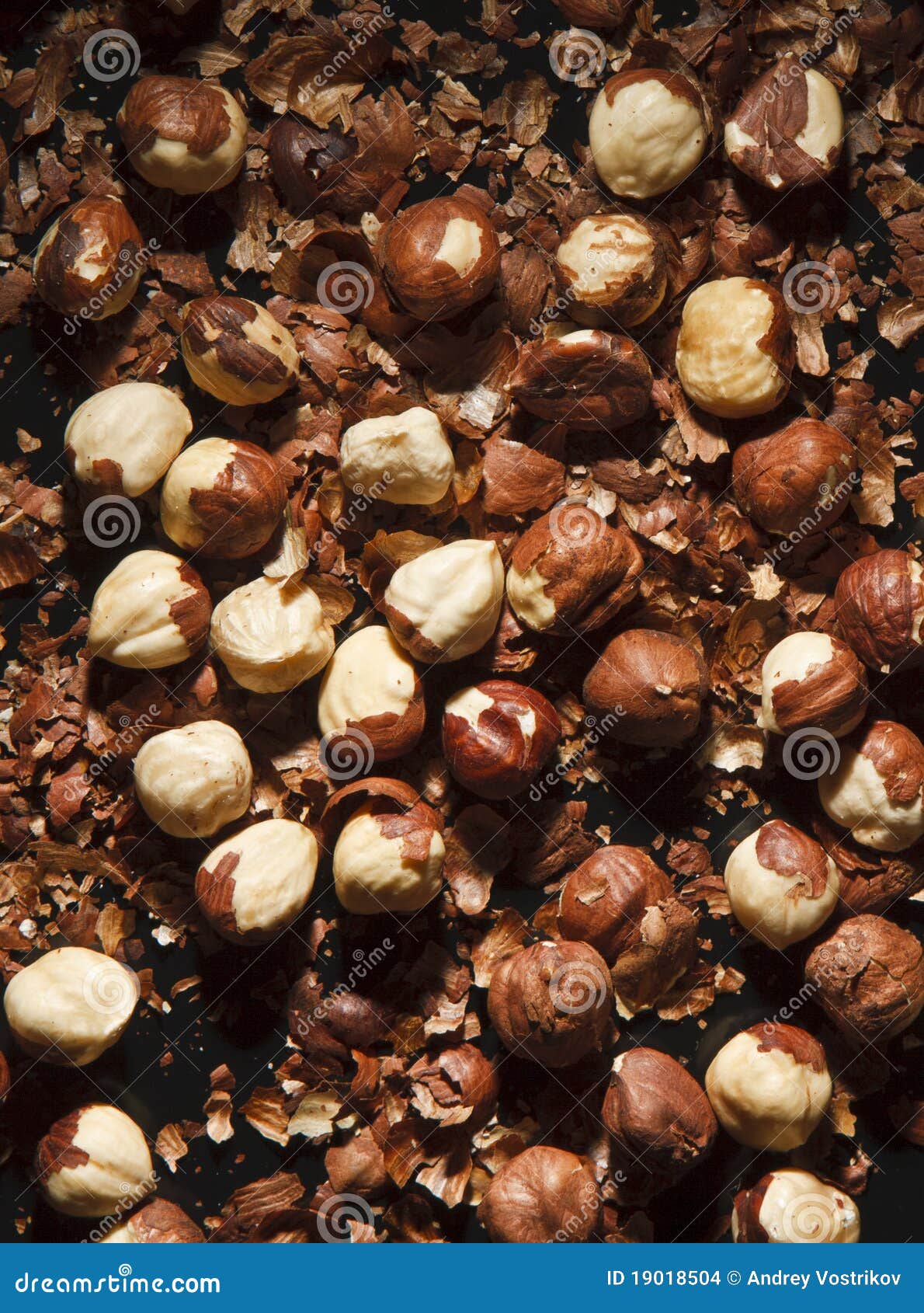 Hulled hazelnuts stock photo. Image of ingredients, peel - 19018504